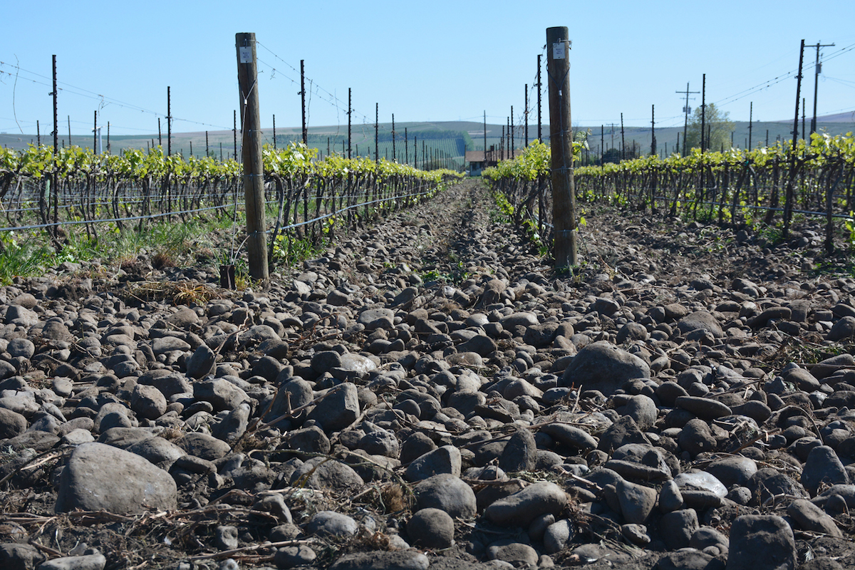 Atelier Freewater to open in Walla Walla Valley - Northwest Wine Report