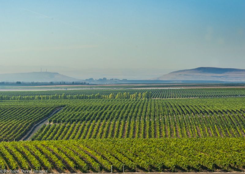 The Horse Heaven Hills is Washington Cabernet Heaven - Northwest Wine ...