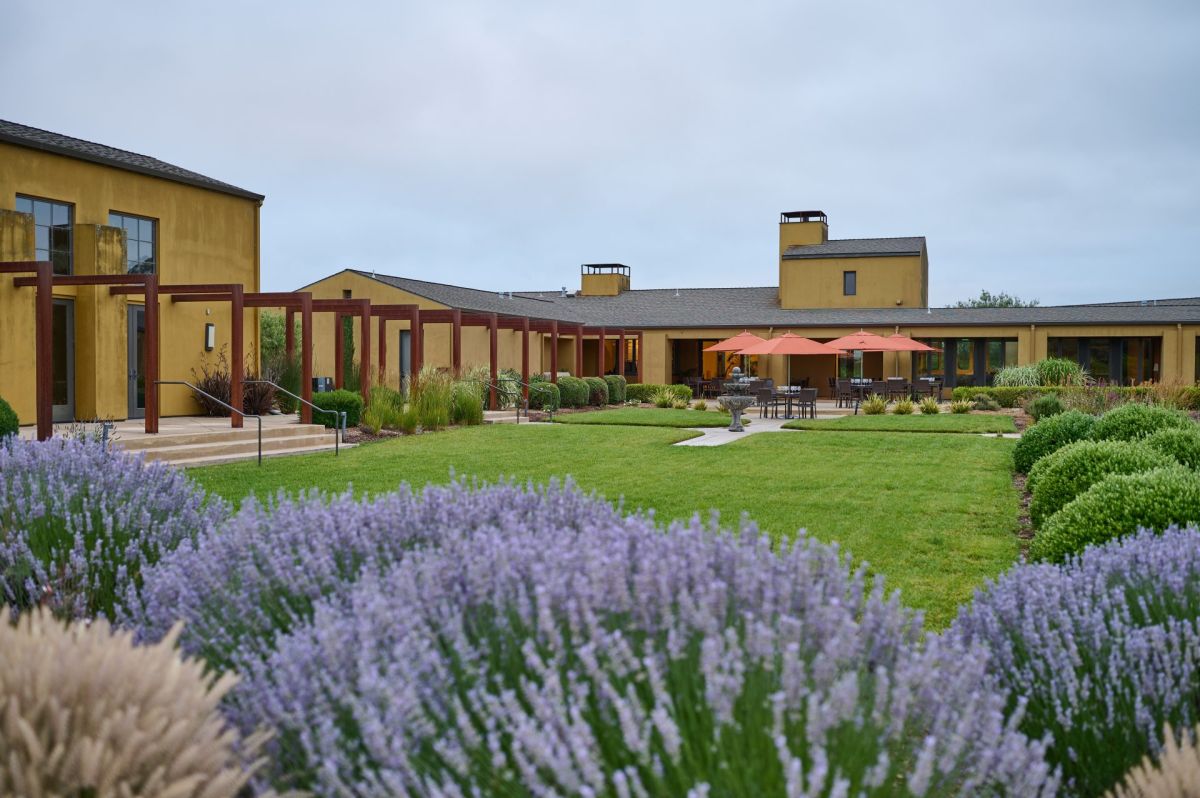 Why Ste. Michelle sold Sonoma’s Patz & Hall - Northwest Wine Report