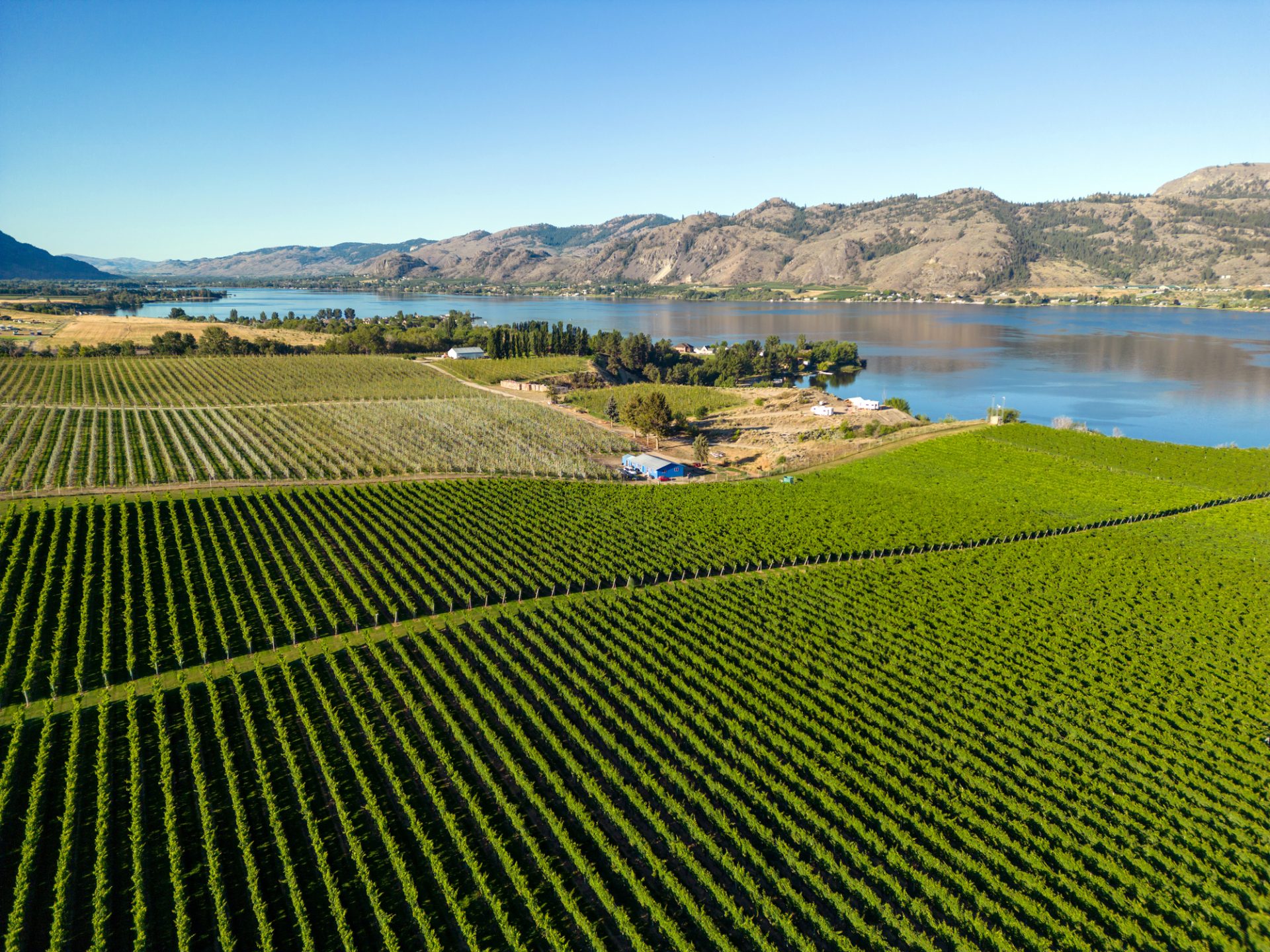 B.C. government outlines initial relief plan for local wineries ...