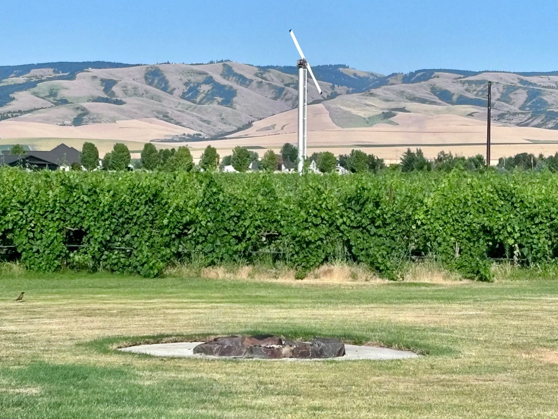 Moonbase Cellars purchases Walla Walla Valley vineyard - Northwest Wine ...