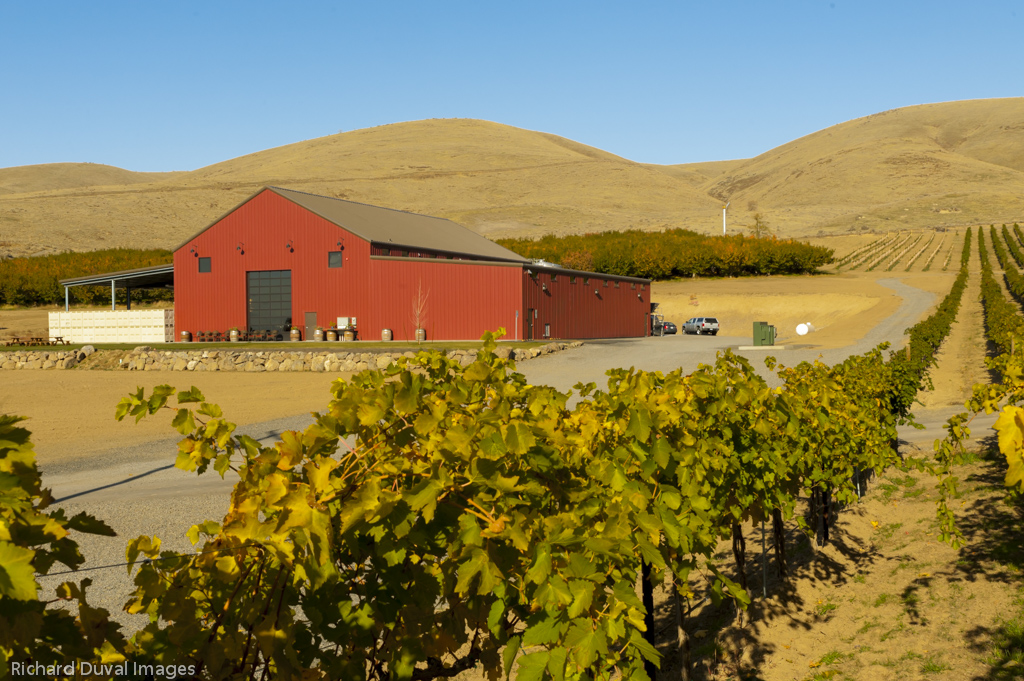 Owen Roe founders buy back winery in Vintage Wine Estates selloff ...